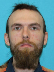 Stephen Austin-tyler Johnson, a registered Sex Offender in , MI 0 at ...